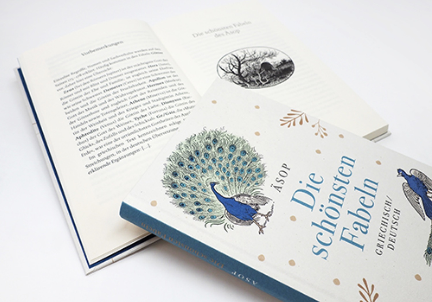 Aesop: Die schönsten Fabeln - Buchhandlung zum Wetzstein